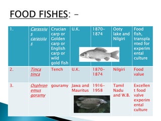 Exotic fish introduction to india and their impact on indigenous ...