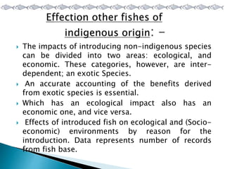 Exotic fish introduction to india and their impact on indigenous ...