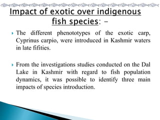Exotic fish introduction to india and their impact on indigenous ...