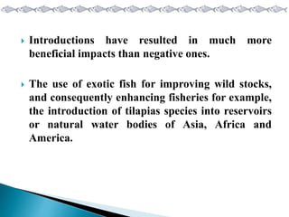 Exotic fish introduction to india and their impact on indigenous ...