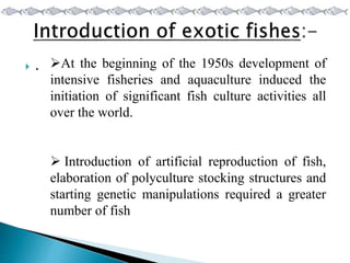 Exotic fish introduction to india and their impact on indigenous ...