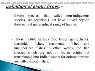 Exotic fish introduction to india and their impact on indigenous ...