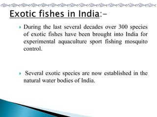 Exotic fish introduction to india and their impact on indigenous ...
