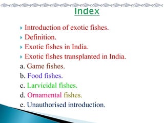 Exotic fish introduction to india and their impact on indigenous ...