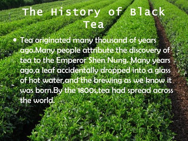 Exotic food -black tea | PPT | Food & Drink