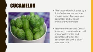Exotic fruit and vegetables | PPT