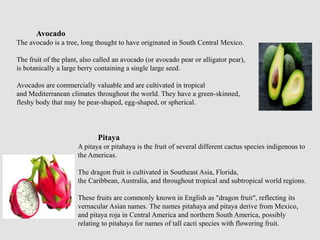 Exotic fruits and vegetables | PPTX