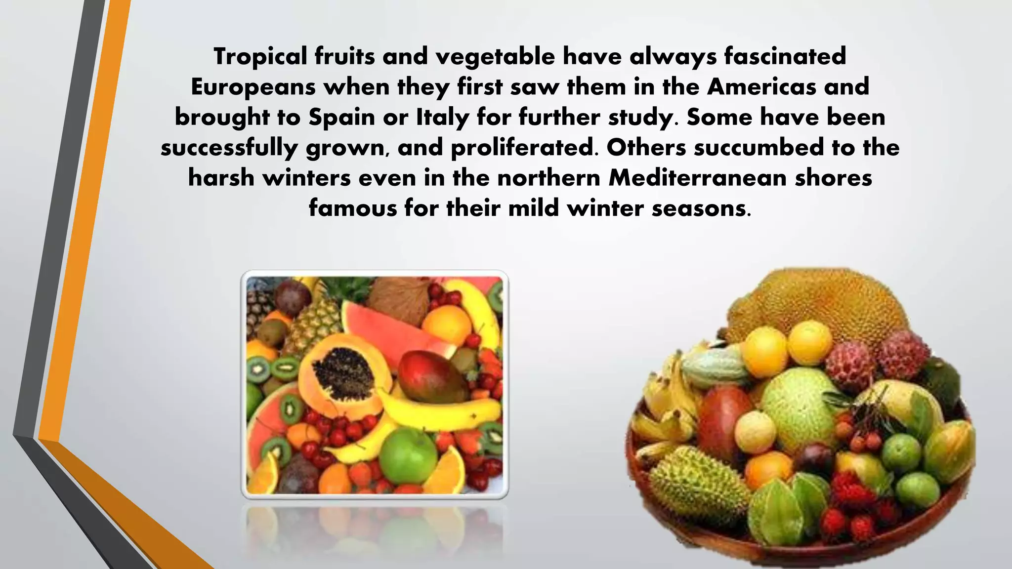 Exotic fruits and vegetables | PPTX