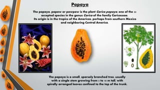 Exotic fruits and vegetables | PPTX