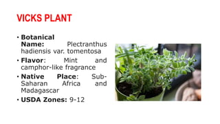 EXOTIC HERBS | PPT | Free Download