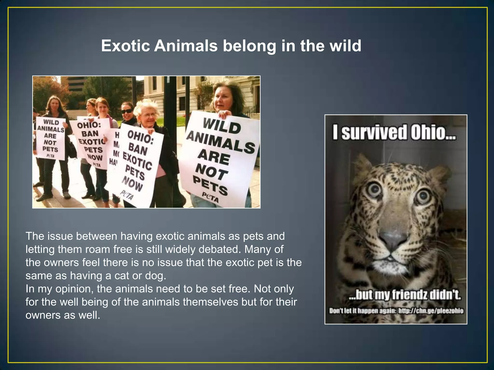 Exotic pets as animals | PPTX