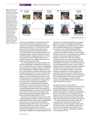 ppt | PDF | Gardening | Home & Garden