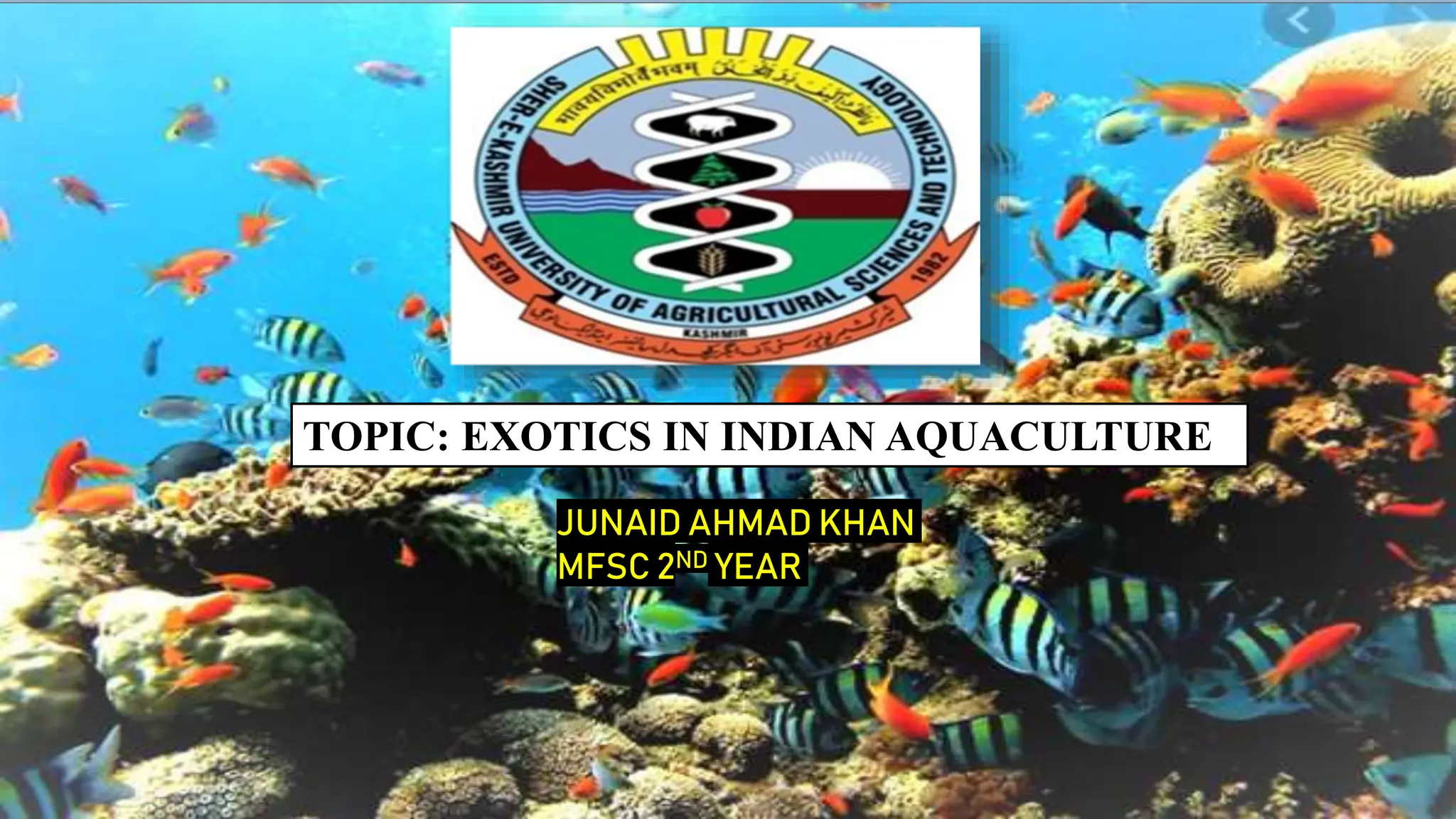Exotics in Indian aquaculture.pptx