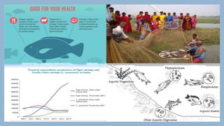 Exotics in Indian aquaculture.pptx