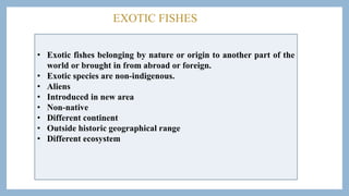 Exotics in Indian aquaculture.pptx