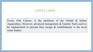 Exotics in Indian aquaculture.pptx