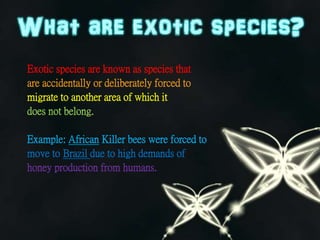 Exotic Species | PPSX