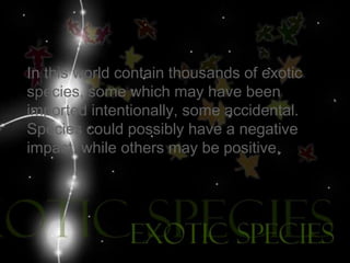 Exotic Species | PPSX