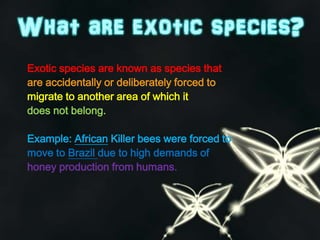 Exotic Species | PPSX