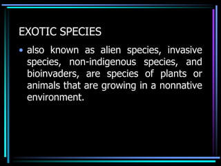Exotic species report | PPT