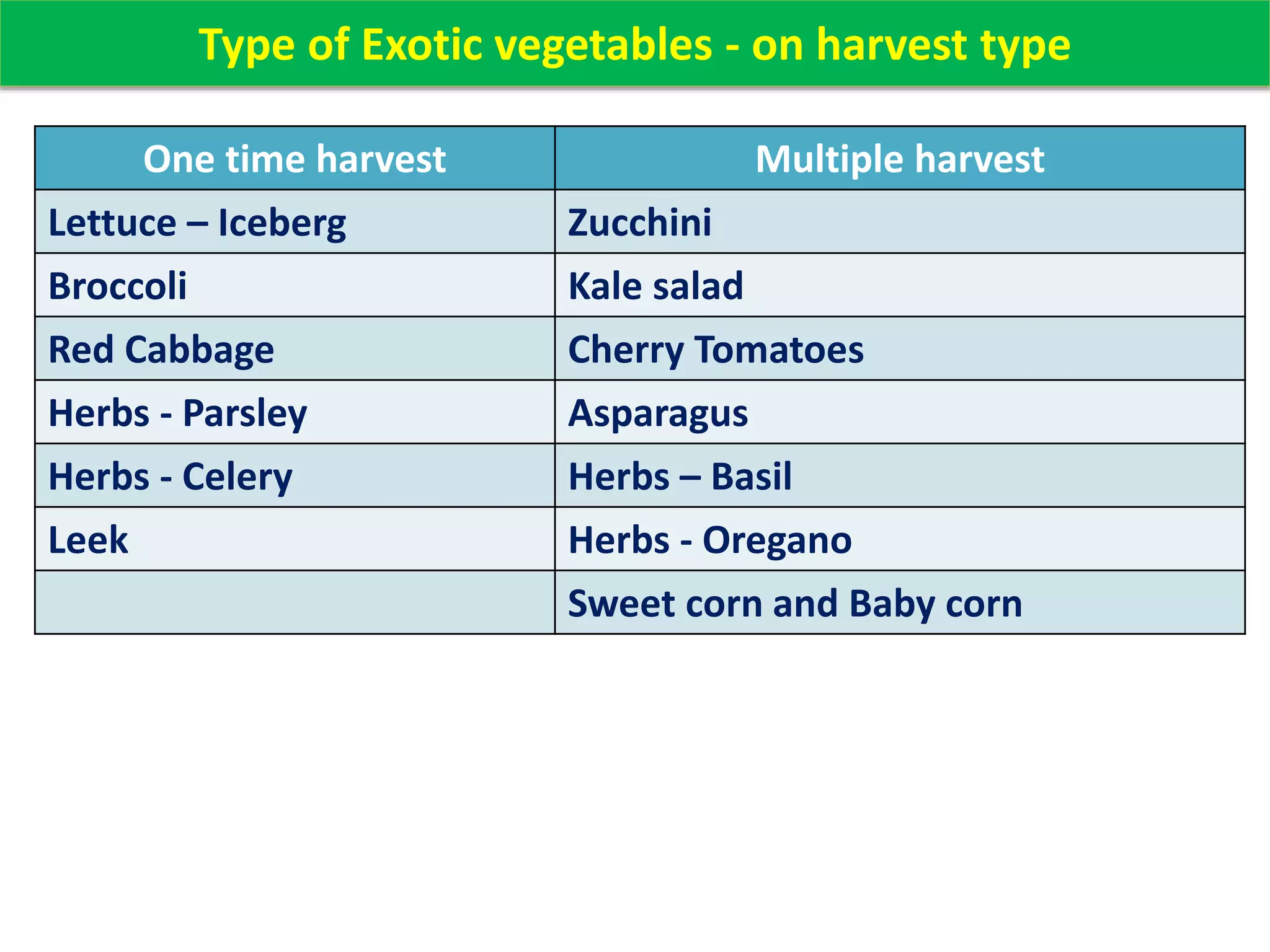 Exotic vegetable | PPTX