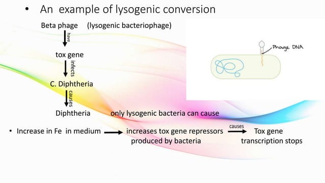 MECHANISM of ACTION of some GRAM positive BACTERIA’s exotoxin | PPT