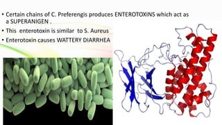 MECHANISM of ACTION of some GRAM positive BACTERIA’s exotoxin | PPTX