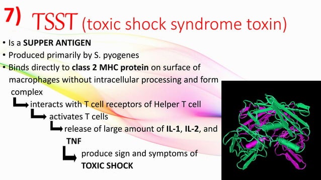 MECHANISM of ACTION of some GRAM positive BACTERIA’s exotoxin | PPT
