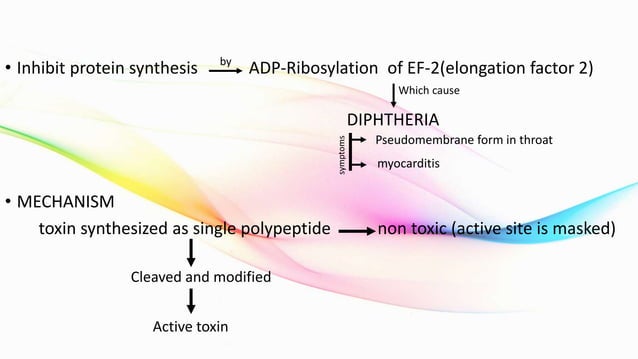 MECHANISM of ACTION of some GRAM positive BACTERIA’s exotoxin | PPT