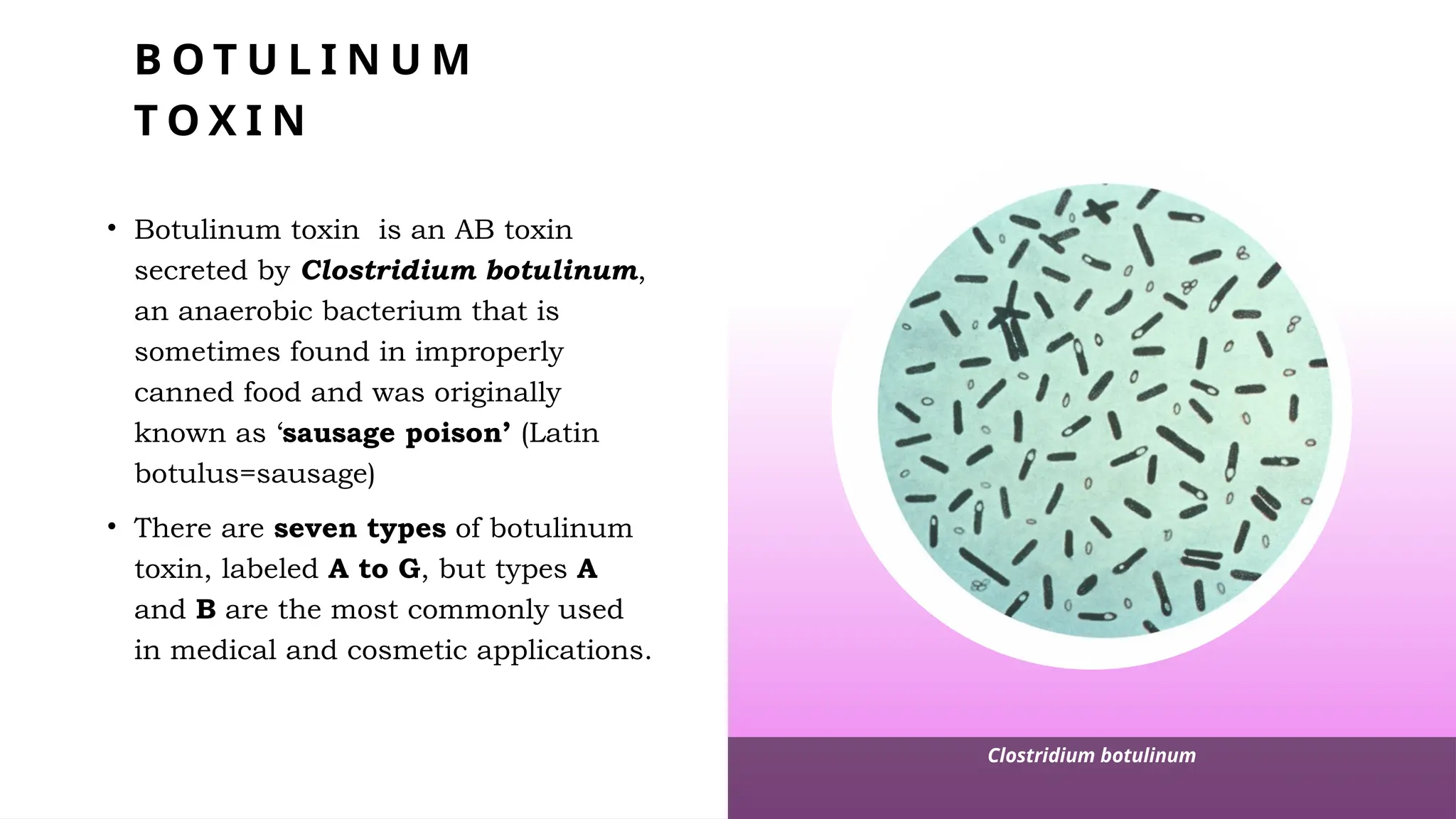 Exotoxins – classification, mechanism of action of exotoxins e.g ...
