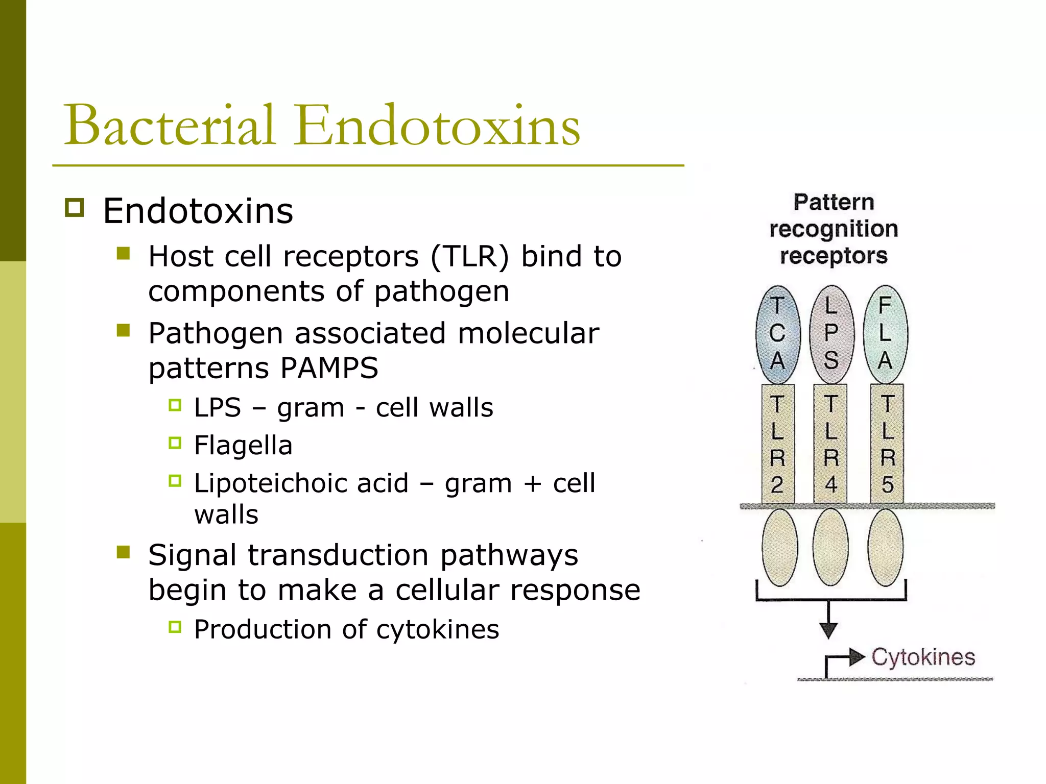 Mechanism of pathogenicity-Exotoxin and endotoxin | PPT