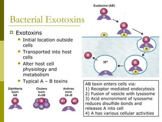 Mechanism of pathogenicity-Exotoxin and endotoxin | PPT