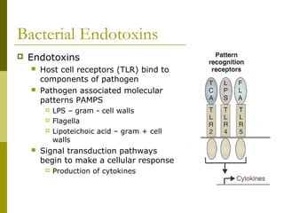Mechanism of pathogenicity-Exotoxin and endotoxin | PPT