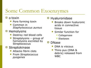 Mechanism of pathogenicity-Exotoxin and endotoxin | PPT