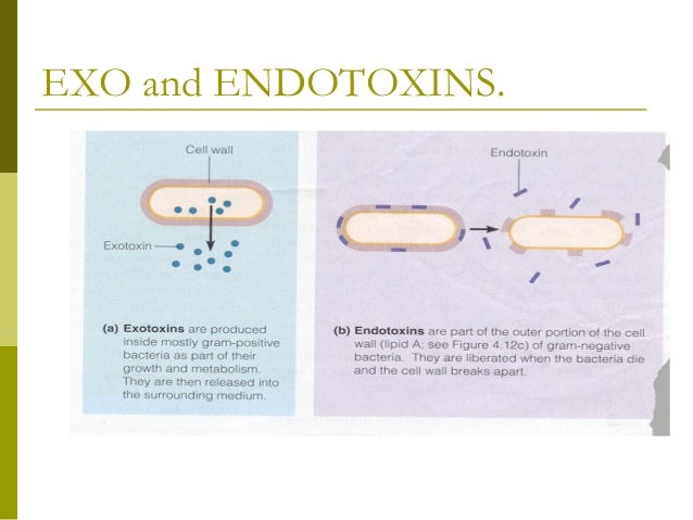Mechanism of pathogenicity-Exotoxin and endotoxin
