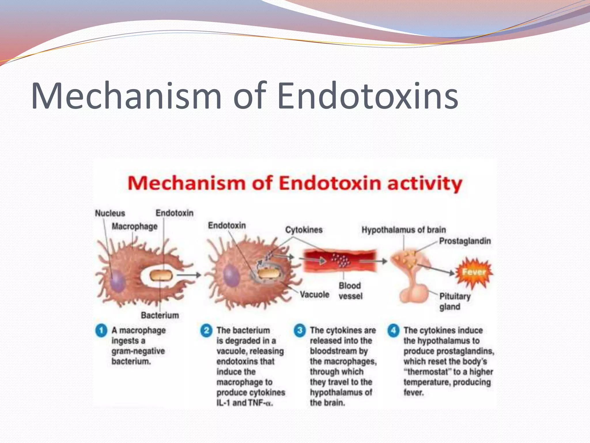EXOTOXINS AND ENDOTOXINS.pptx