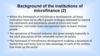 Microfinance Institutions: The Peruvian Model of Financial Inclusion ...