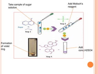 Molisch's test | PPTX | Chemistry | Science