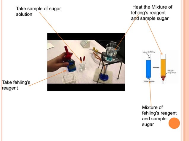 Fehling,s test | PPTX