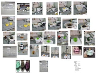 Exp.1 ppt slides_Procedure Steps.pdf