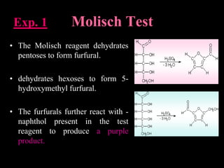 exp.9.molisch test.pptx