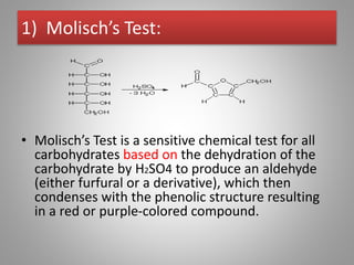 exp.9.molisch test.pptx