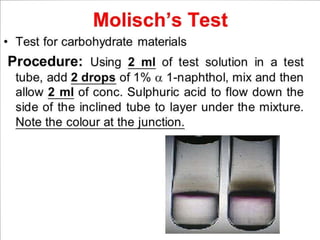 exp.9.molisch test.pptx