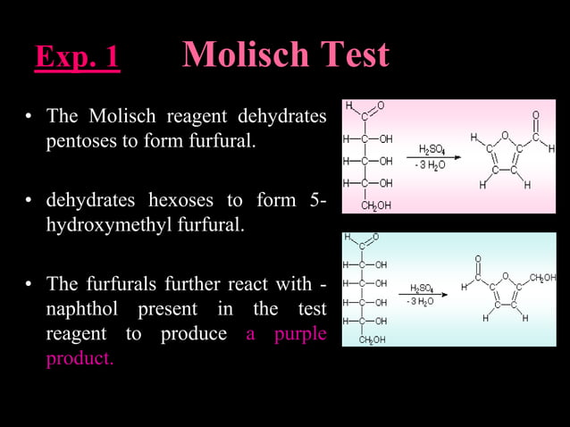 exp.9.molisch test.pptx