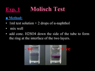exp.9.molisch test.pptx