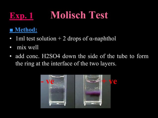 exp.9.molisch test.pptx