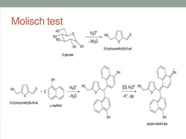 exp.9.molisch test.pptx
