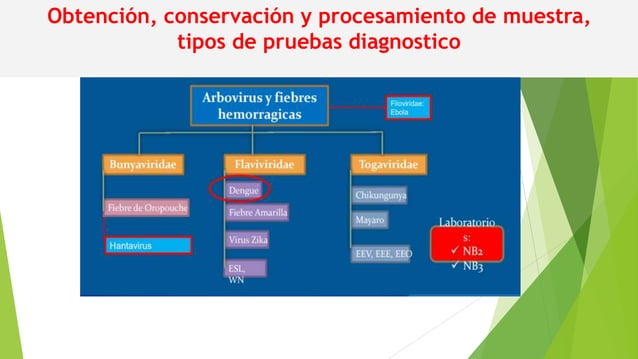 EXP. DIAGNOSTICO DE LABORATORIO DE DENGUE 22.08.2023.pptx
