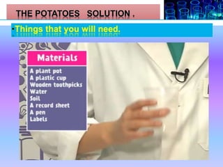 Experiment 1 Natural Science | PPT