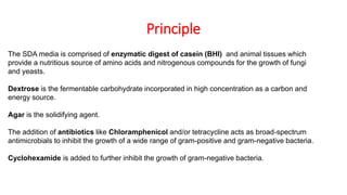 Preparation of fungal culture media | PPTX